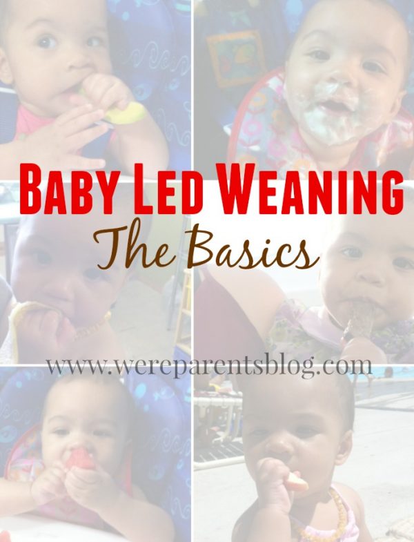 Baby Led Weaning - The Basics - We're Parents
