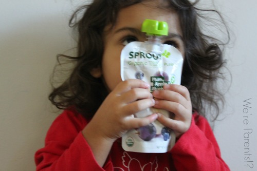 sprout organic toddler pouches - We're Parents